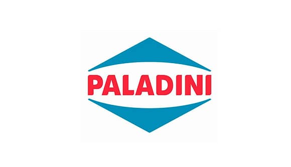 Caso de Éxito: Campaña “Paladini Invita a Disfrutar Juntos la Copa ...